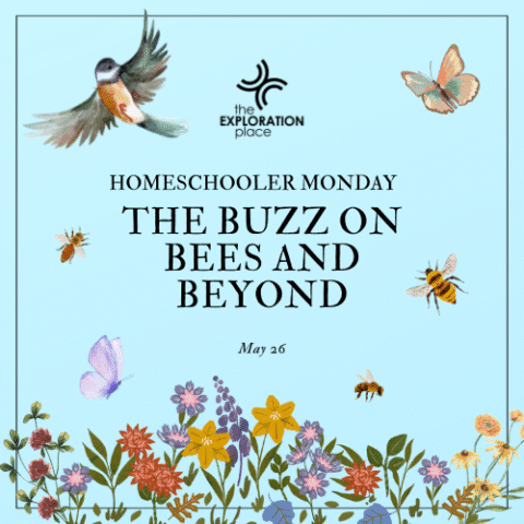 Homeschooler Monday: The Buzz on Bees and Beyond - The Exploration Place